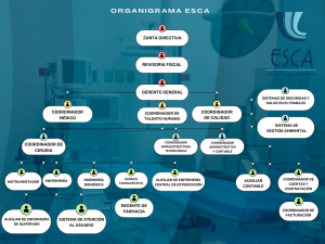 Organigrama ESCA – Clínica ESCA